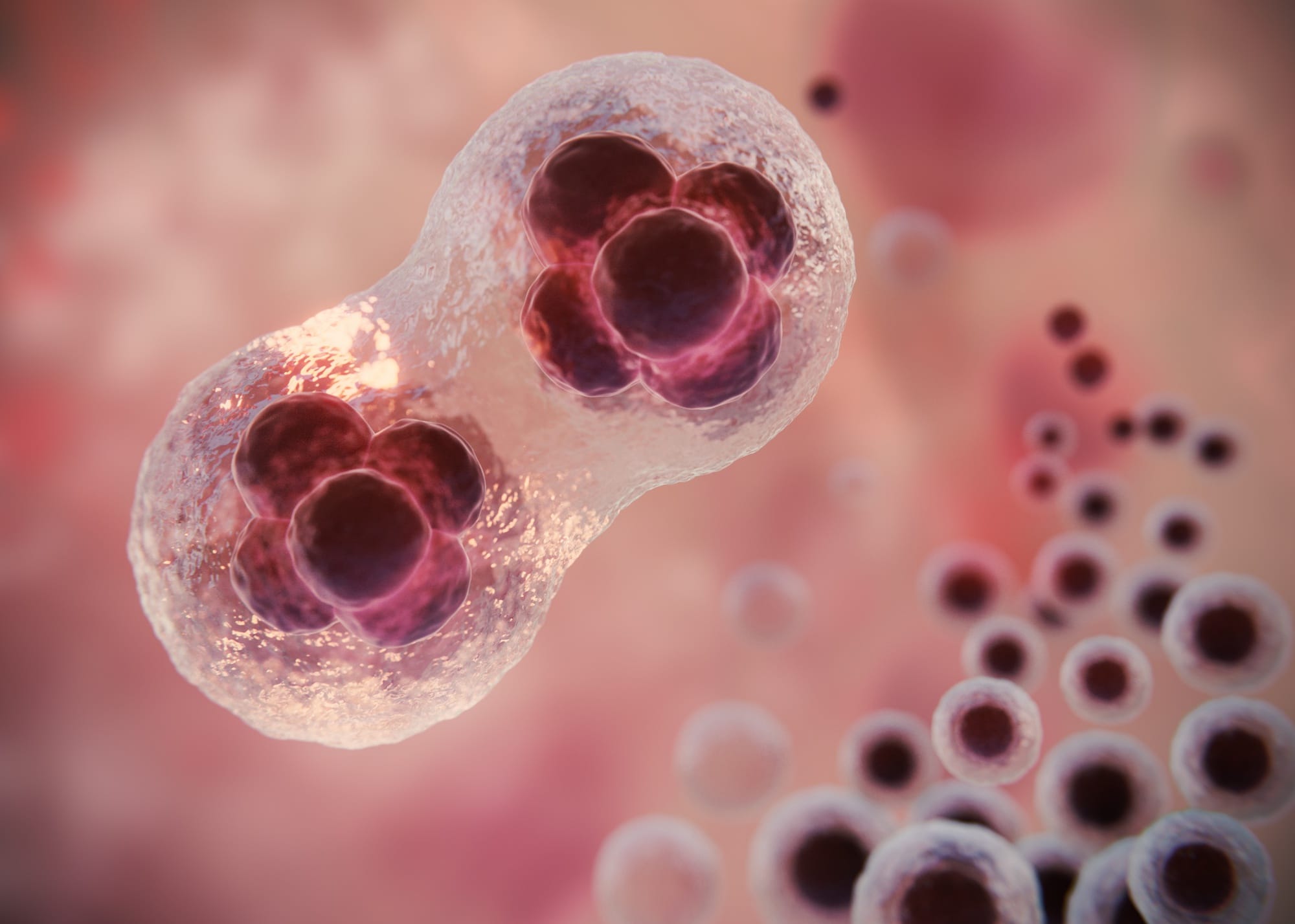 Cytomegalia w ciąży – objawy, diagnostyka i sposoby zapobiegania